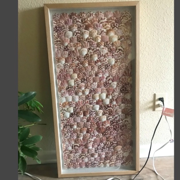Wall Decor | Seashell Shadow Box | Poshmark